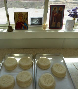 The Bread of Offering | Gladsome Lights