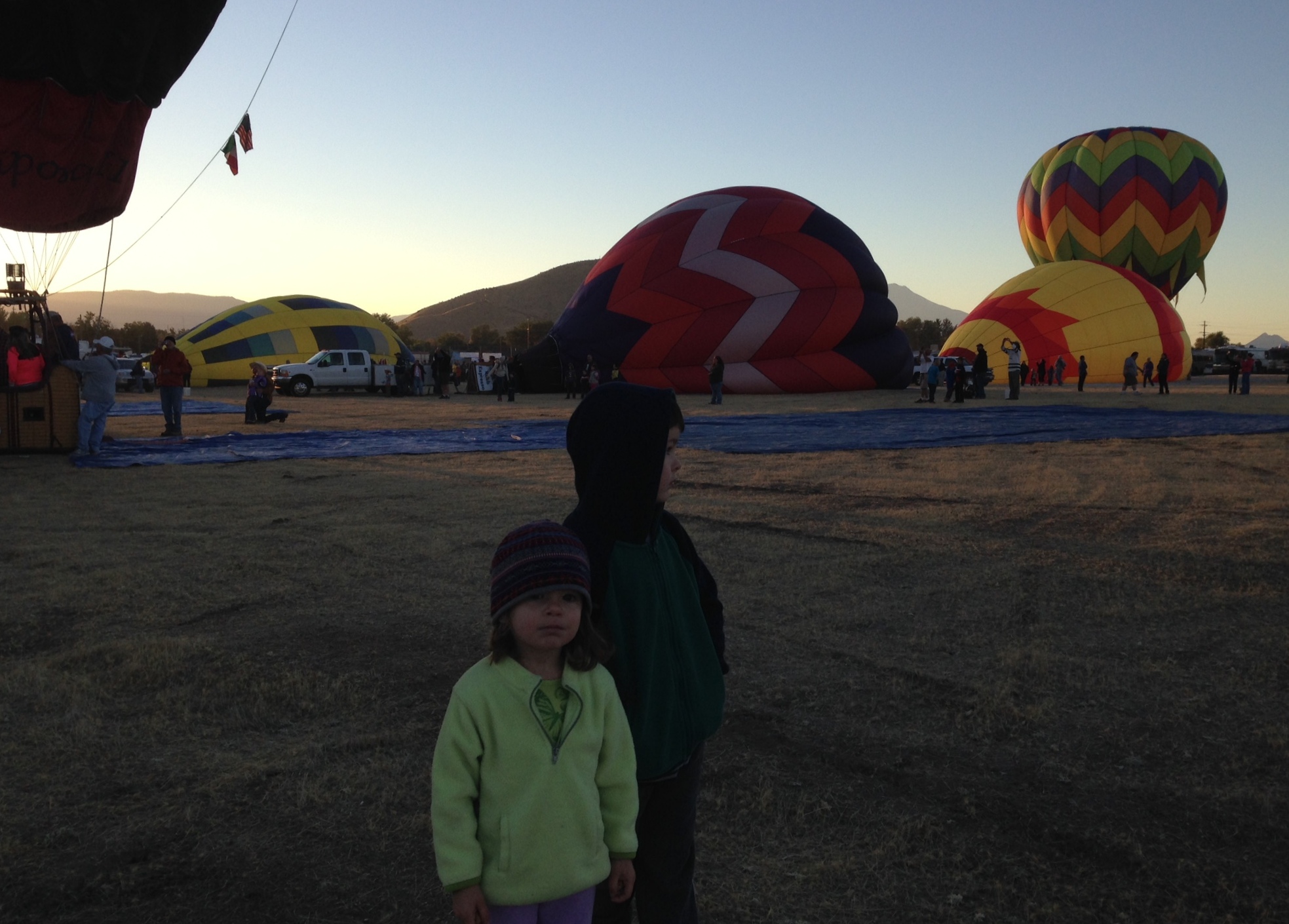 milkweed and balloons | Gladsome Lights