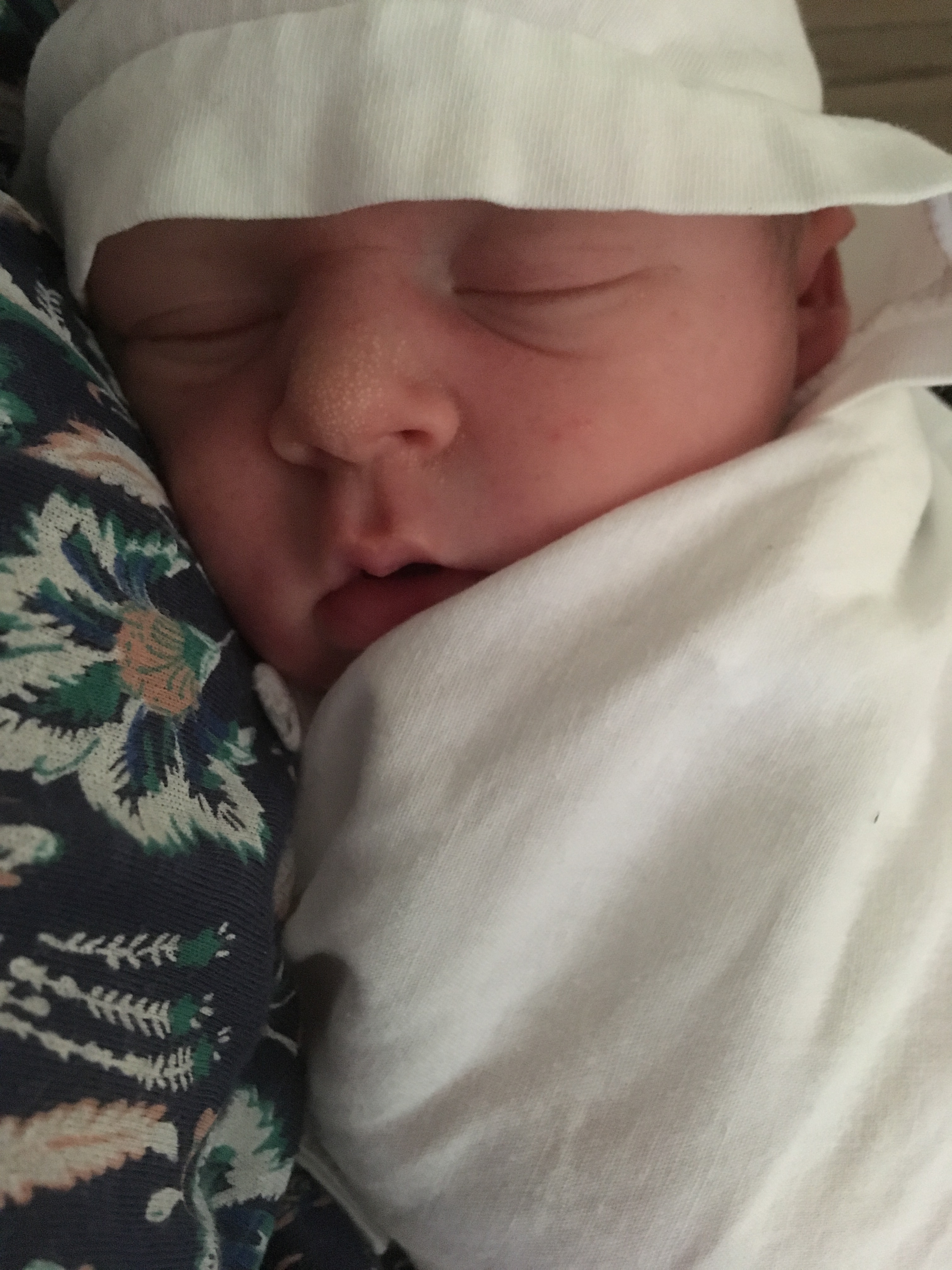 Bombay Baby | Gladsome Lights
