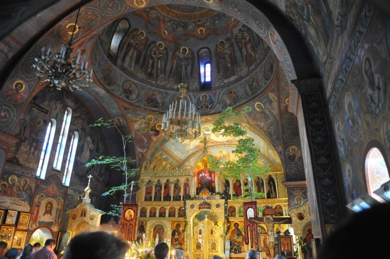 On Pentecost, trees clap in church. | Gladsome Lights