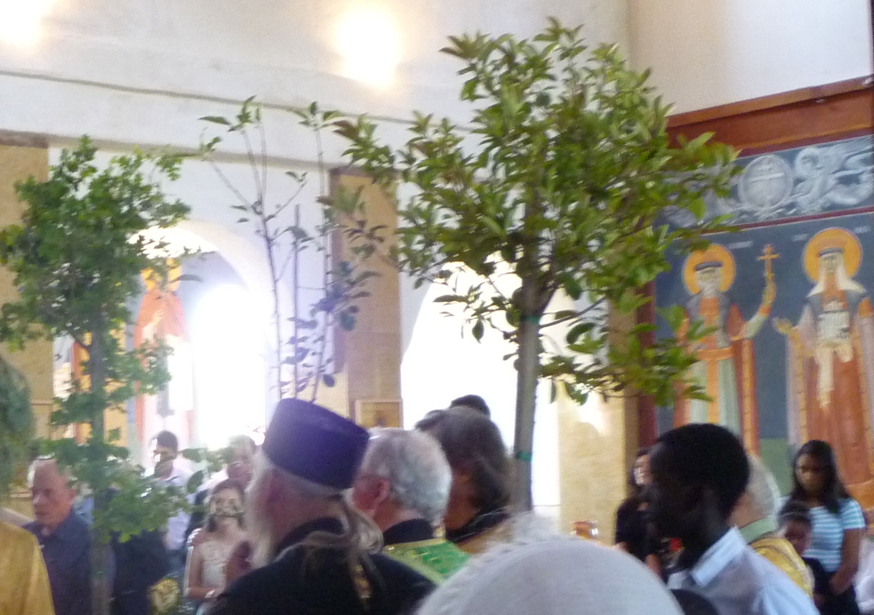 On Pentecost, trees clap in church. | Gladsome Lights