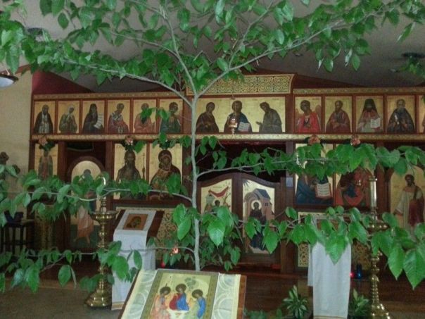 On Pentecost, trees clap in church. | Gladsome Lights