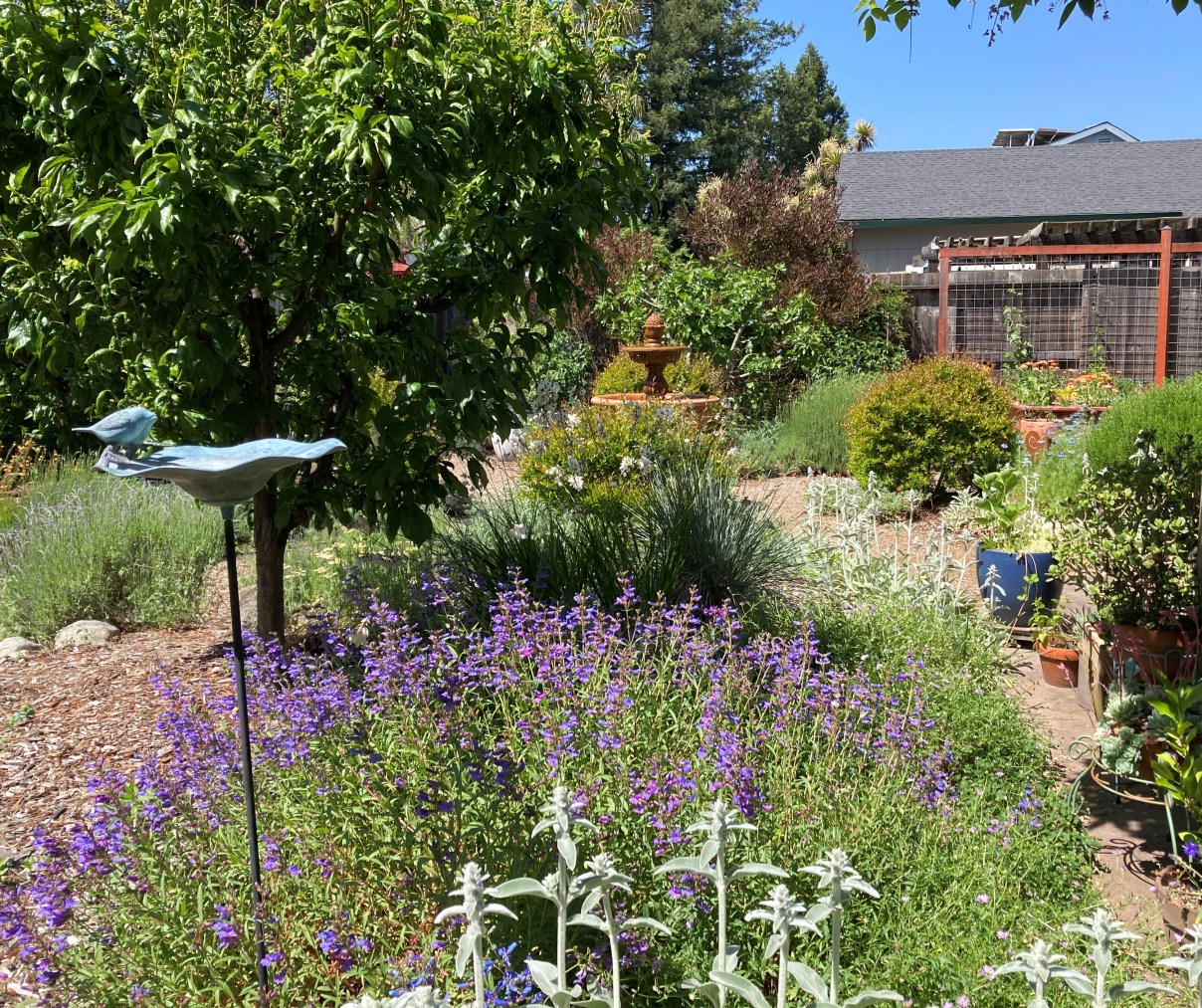 The sun shines on triads of blue. | Gladsome Lights