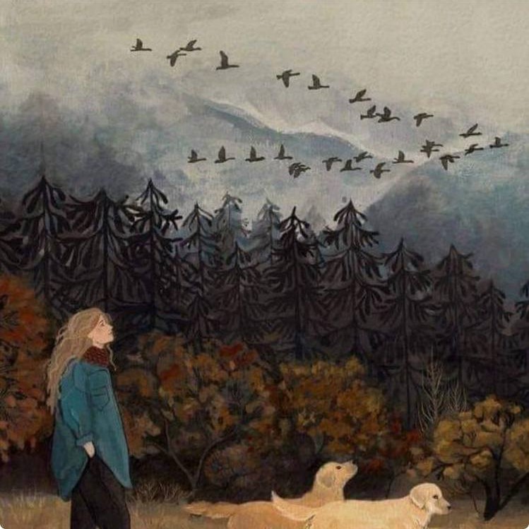 I walk myself into a state of well-being. | Gladsome Lights